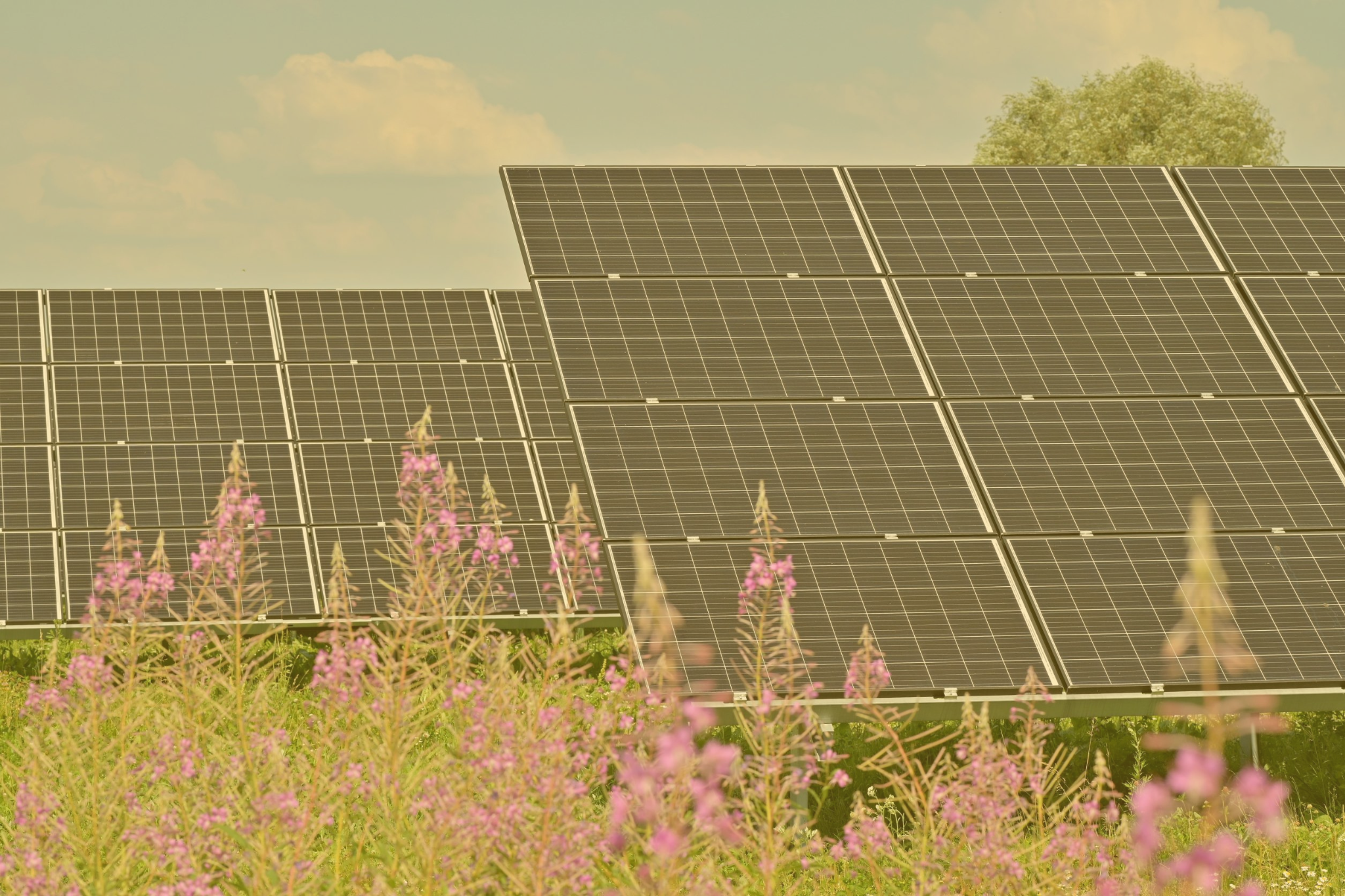 Northwest Solar Home — Earthrise Energy